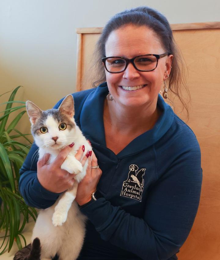 Veterinarians in North Adams | North Adams MA Veterinarians